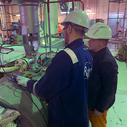 General terms and conditions of delivery Ravebo